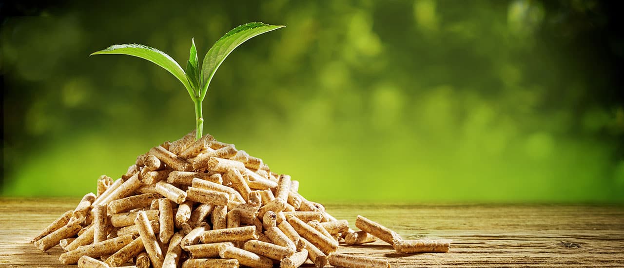 Wood pellets and wood powder - BKtech